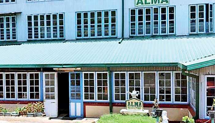 Alma Tea Factory achieves all-time record price | Daily FT Alma Tea Factory achieves all-time record price | Daily FT